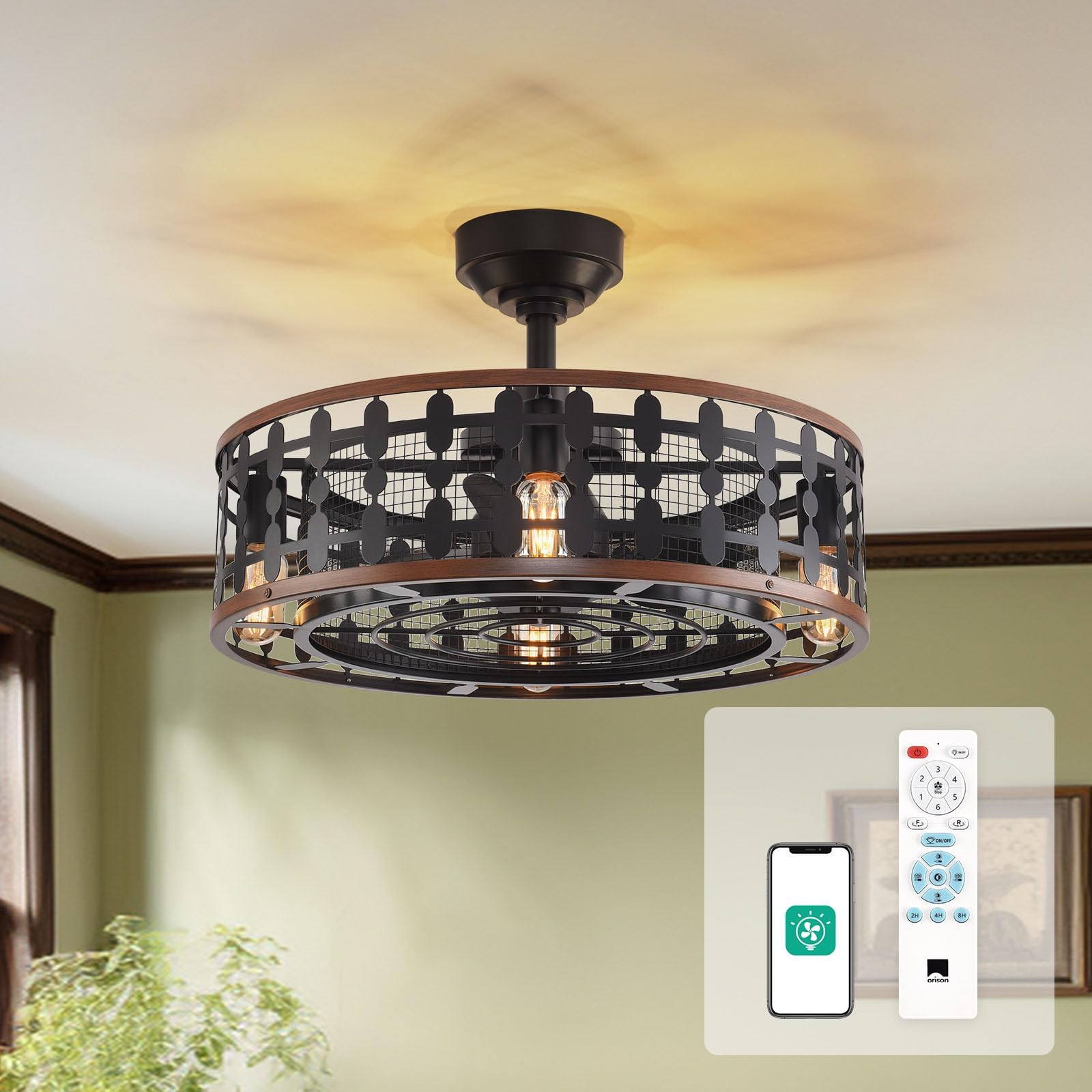 Amazon.com: HOMKEA Caged Ceiling Fan with Lights and Remote, 18" Black ...