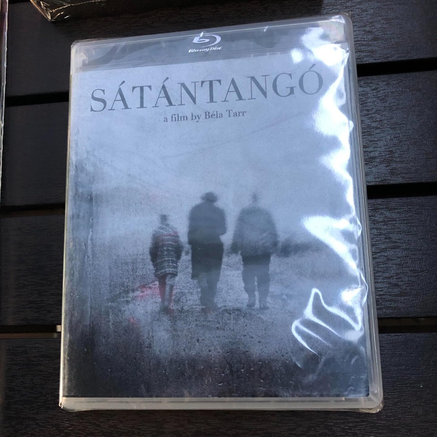 Amazon.com: Satantango [Region 2] : Movies & TV