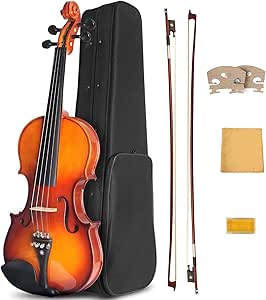 Amazon.com: Ceciliec 3/4 Acoustic Violin, Solidwood Ebony Fitted Violin ...