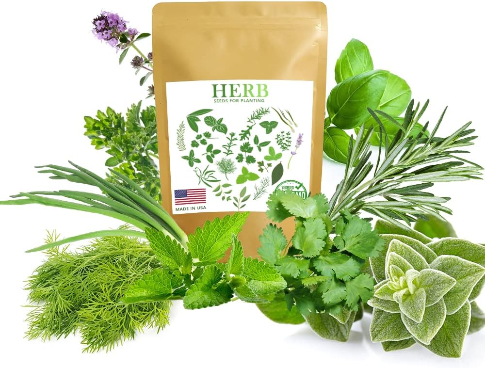 Amazon.com : 9 Culinary Herbs Seeds Variety Pack 900+ Herbs Seeds ...