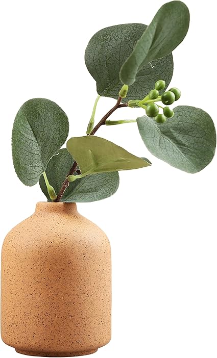 Amazon.com: Ceramic Vase - Simple Vase for Flowers Plants, Small Modern ...