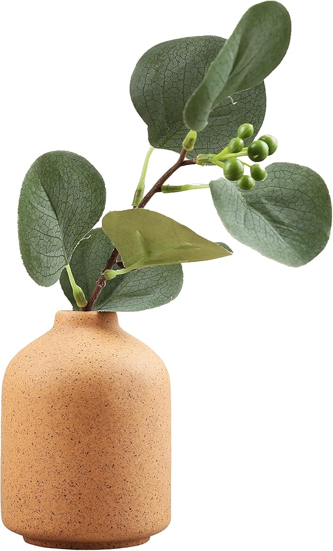 Amazon.com: Ceramic Vase - Simple Vase for Flowers Plants, Small Modern ...
