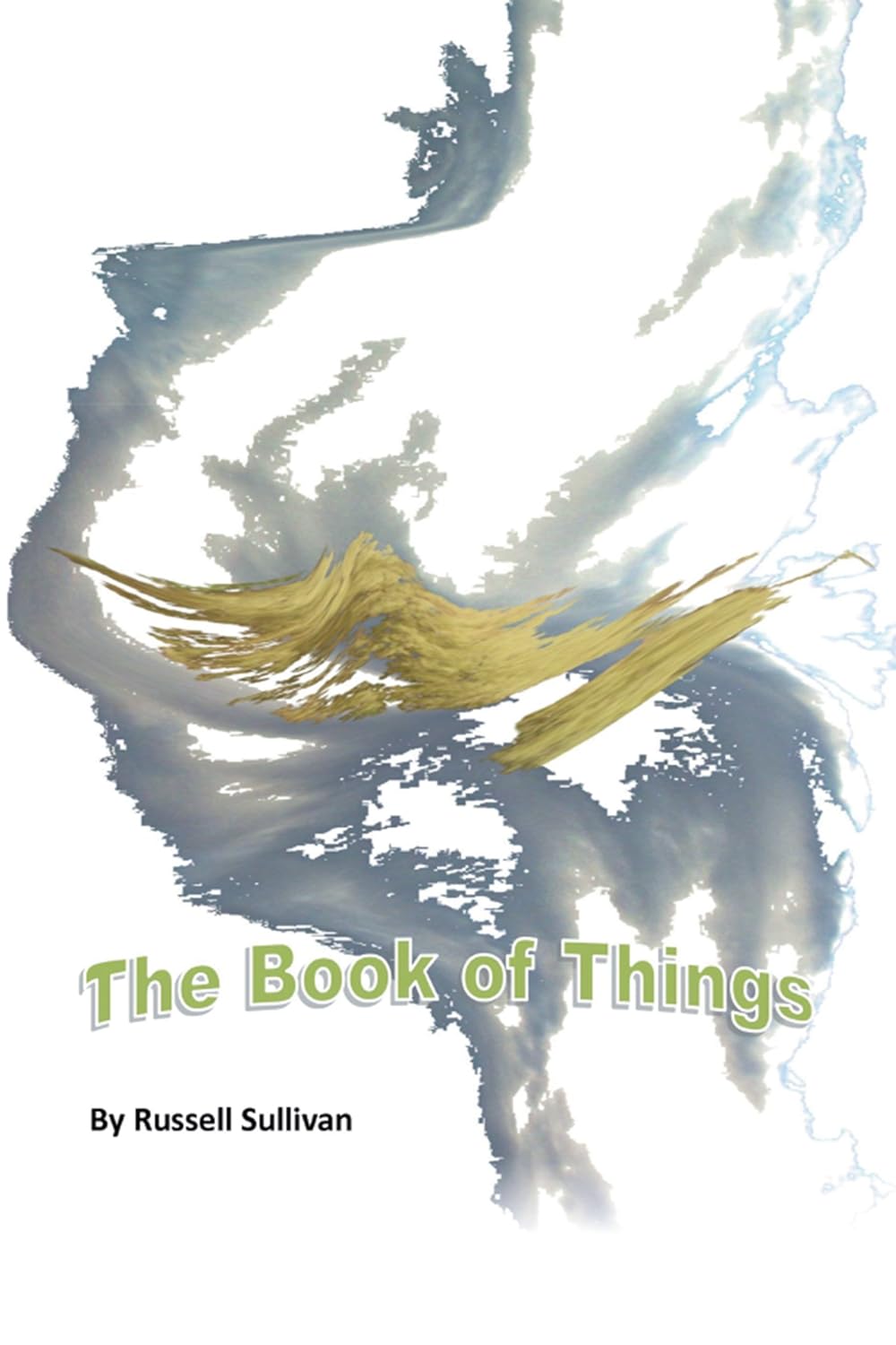 The Book of Things - Kindle edition by Sullivan, Russell. Politics ...