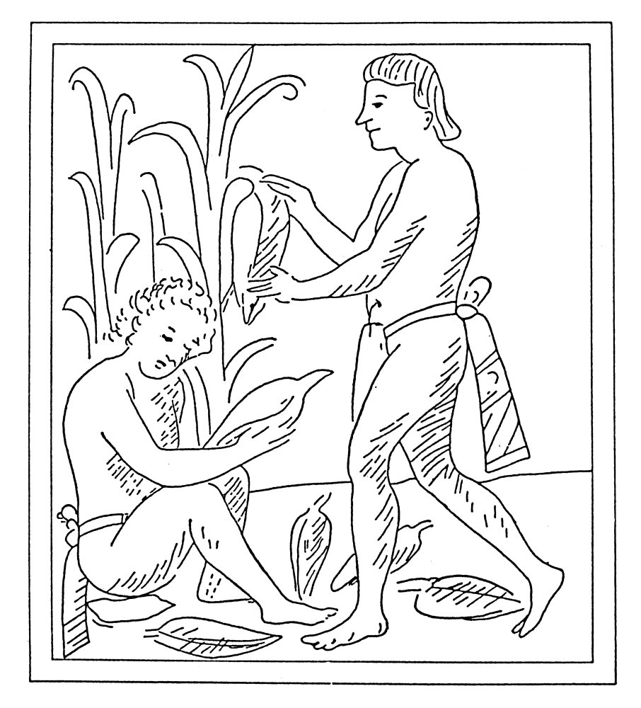 Aztec Farmers