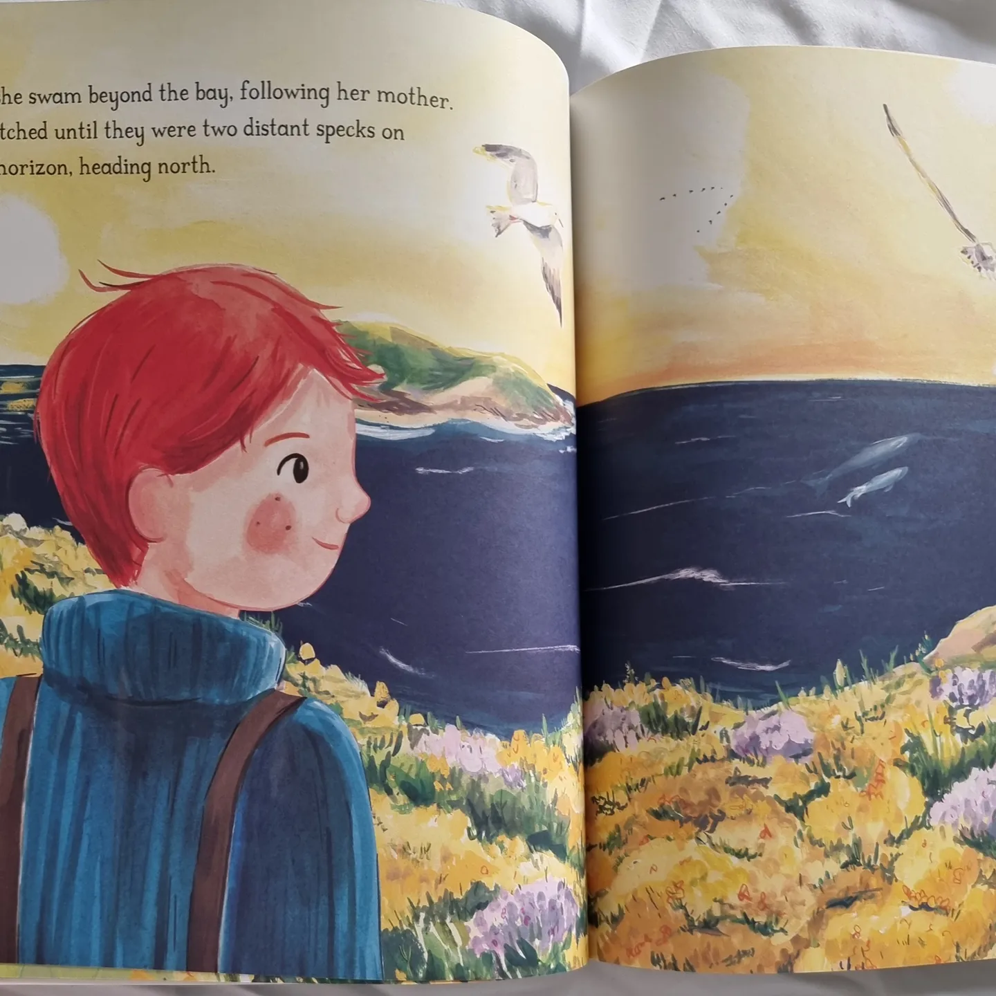 Hope the Whale: In Association with the Natural History Museum : Books ...