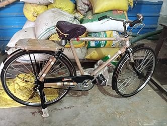 RALLEY GOLD Rally Popular 22 Inch Men's Full Size Bicycle | with ...