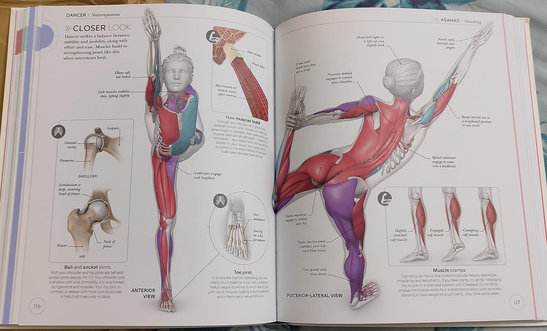 Buy Science of Yoga: Understand the Anatomy and Physiology to Perfect ...