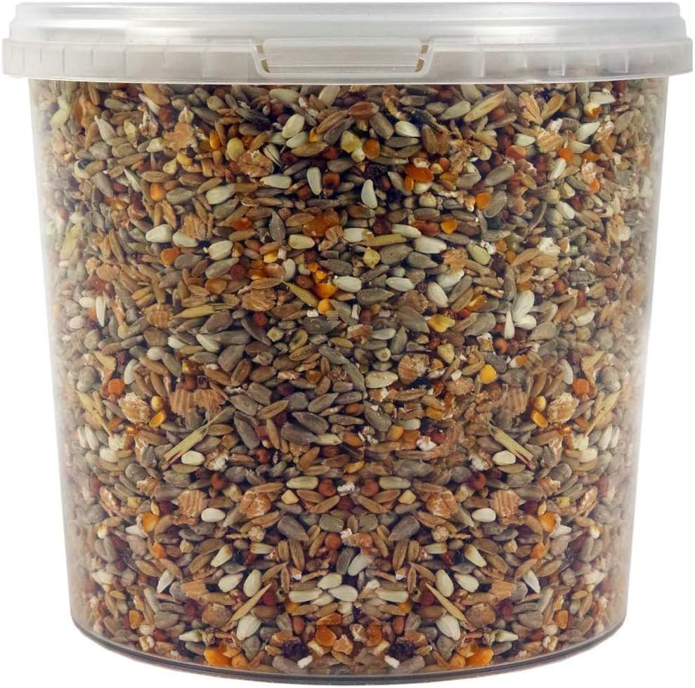 SQUAWK Dried Mealworms | Premium Garden Wild Bird Food Mix Balanced ...