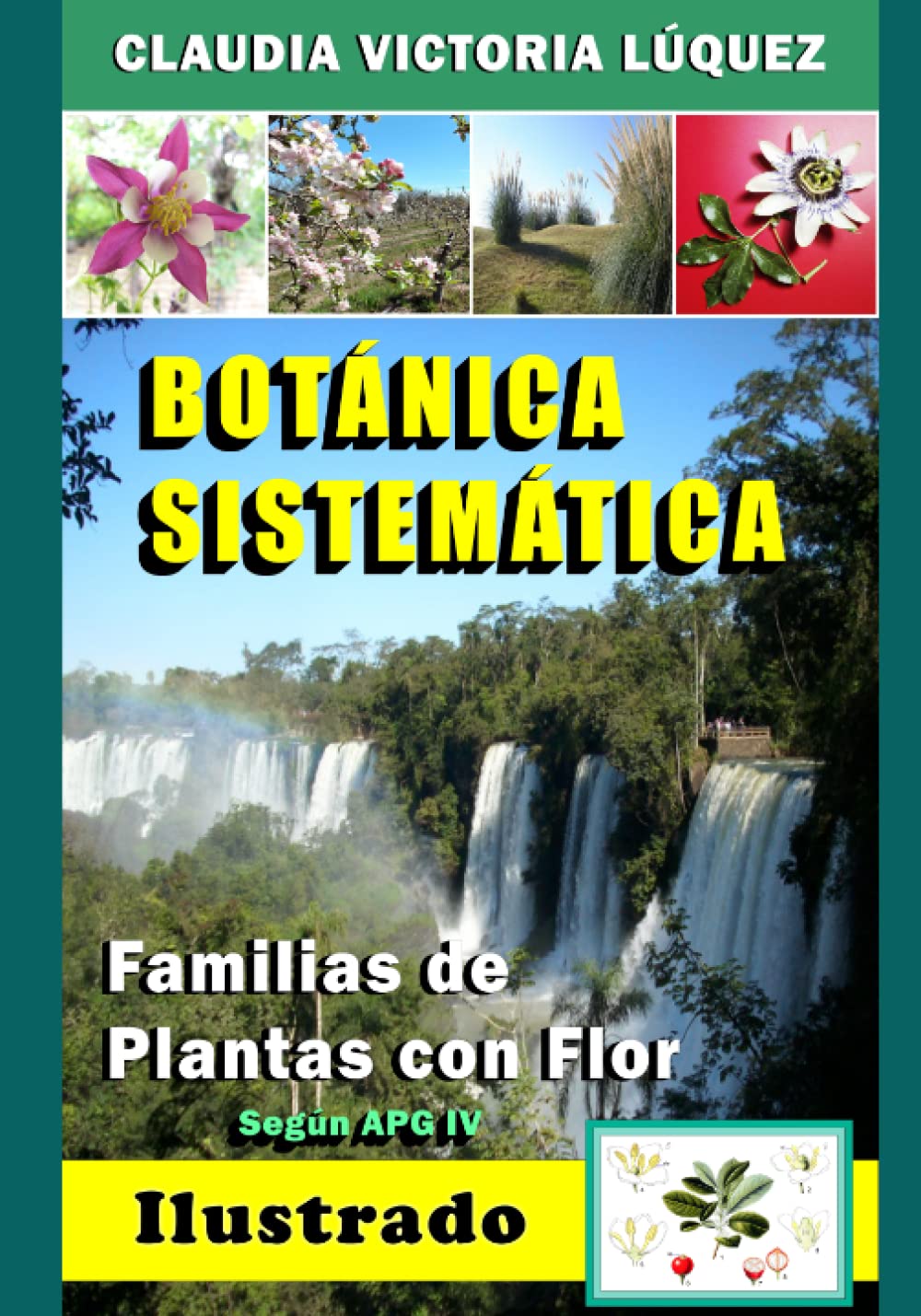 BOTÁNICA SISTEMÁTICA: Familias de Plantas con Flor (Según APG IV ...