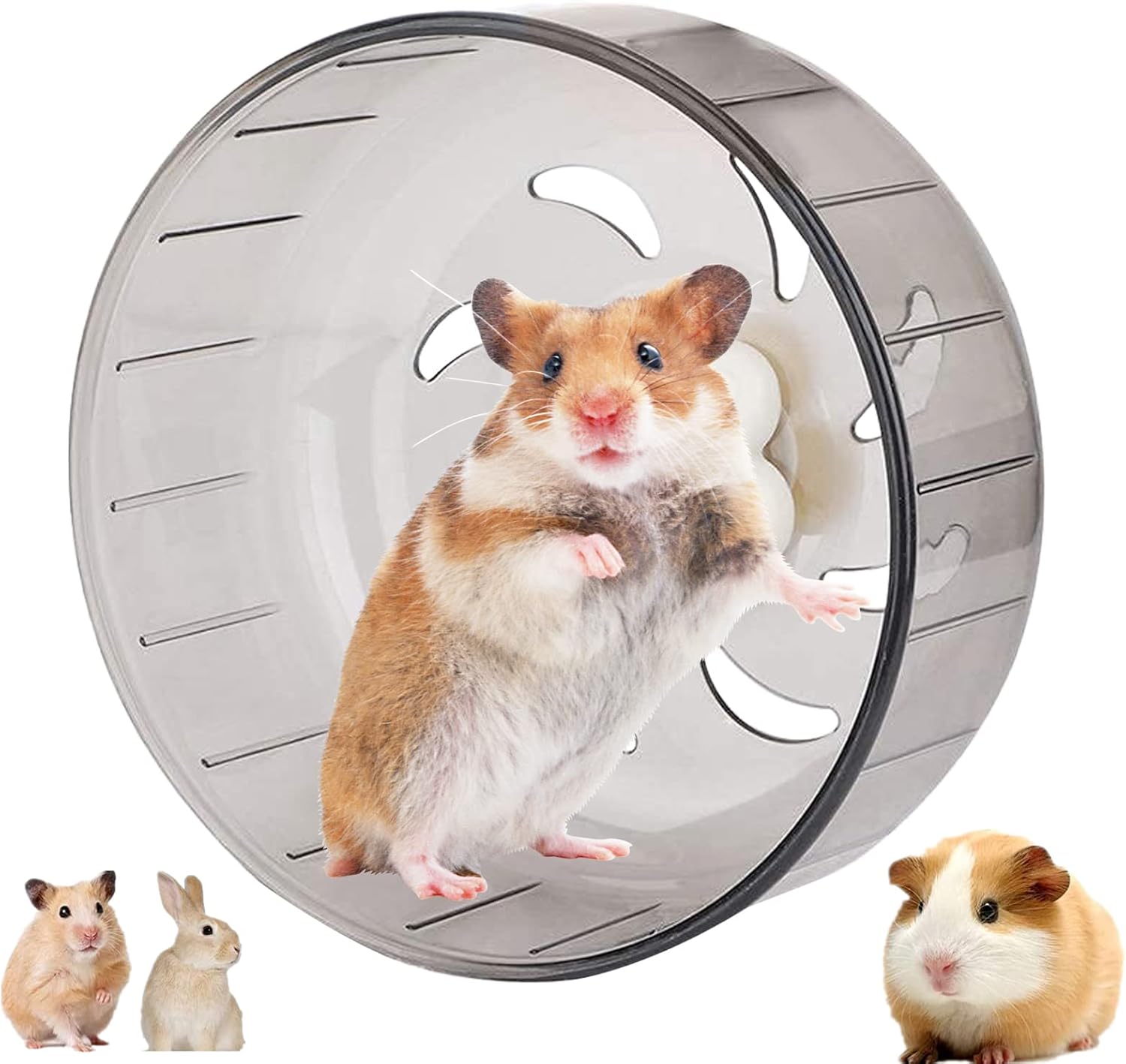 Houdao 13cm Hamster Laufrad Hamsterrad Leise Plastik Silent Hamster Rad ...