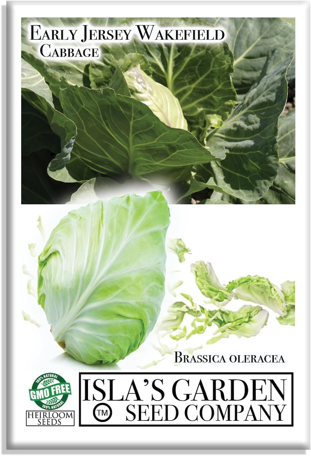Amazon.com : 500 Early Jersey Wakefield Cabbage Seeds for Planting ...