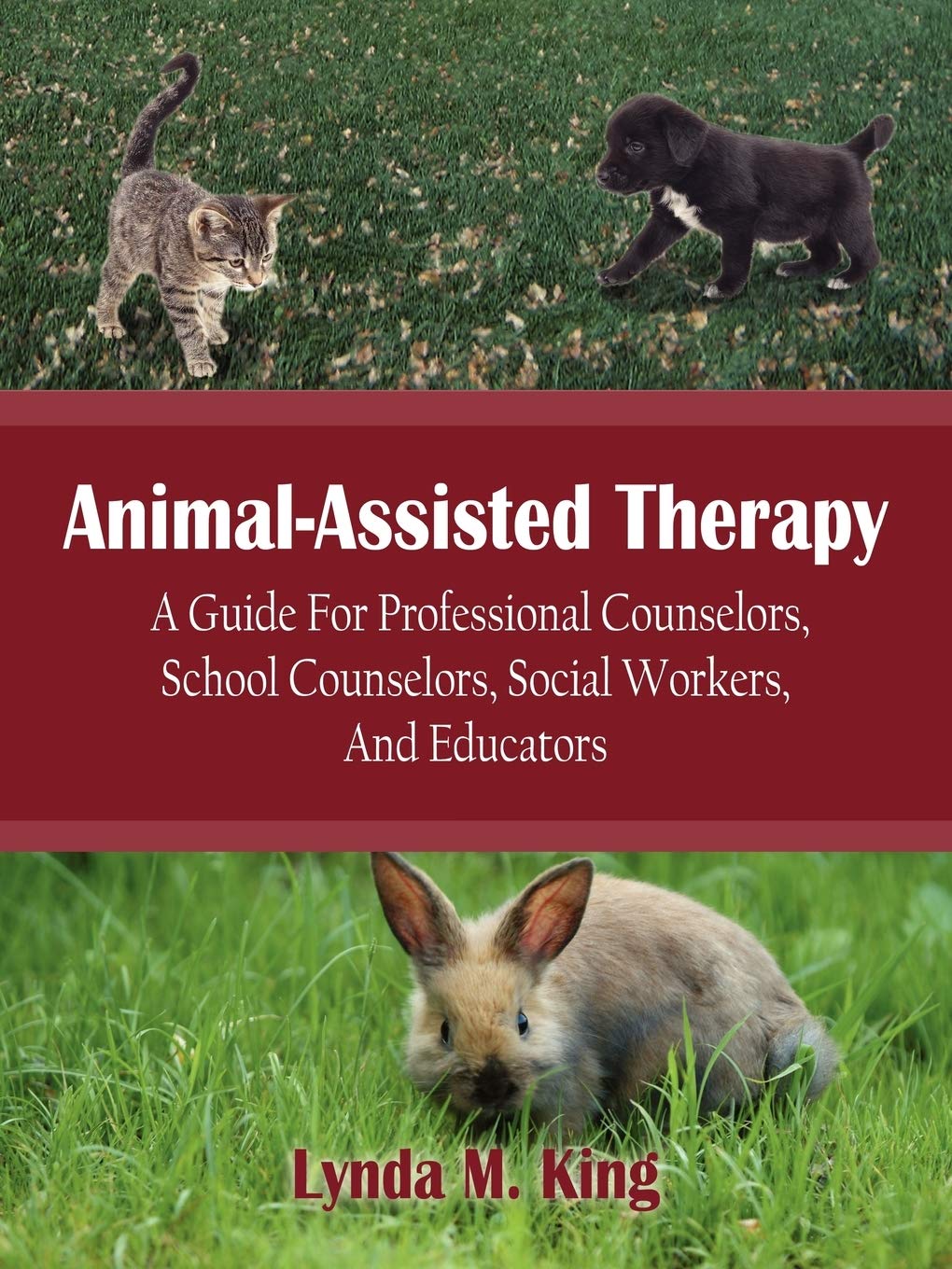Animal-Assisted Therapy: A Guide For Professional Counselors, School ...