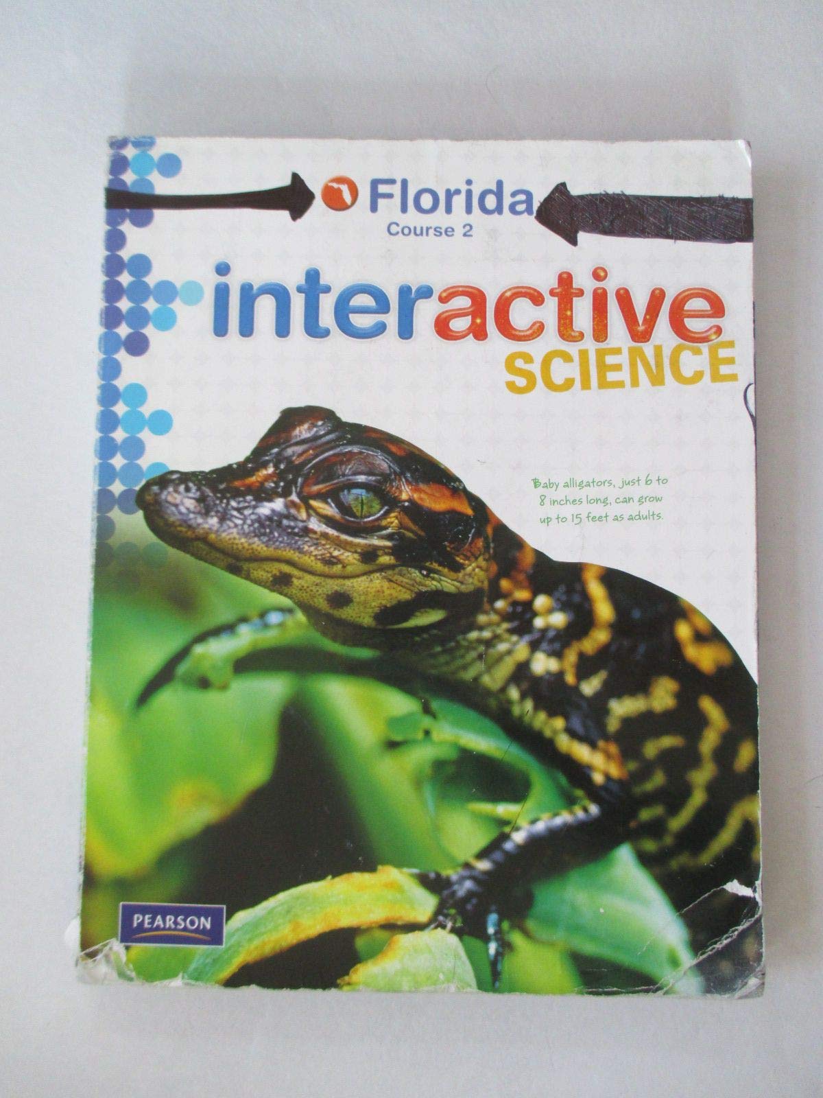 Pearson Interactive Science Florida Course 2: Many: 9780132525114 ...