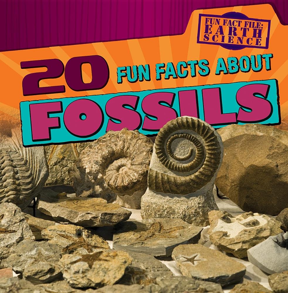 20 Fun Facts about Fossils | Amazon.com.br