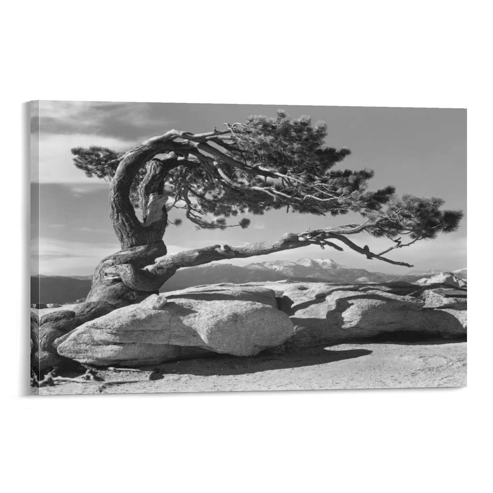Amazon.com: Ansel Adams - Tree and Rock Poster Decorative Painting ...