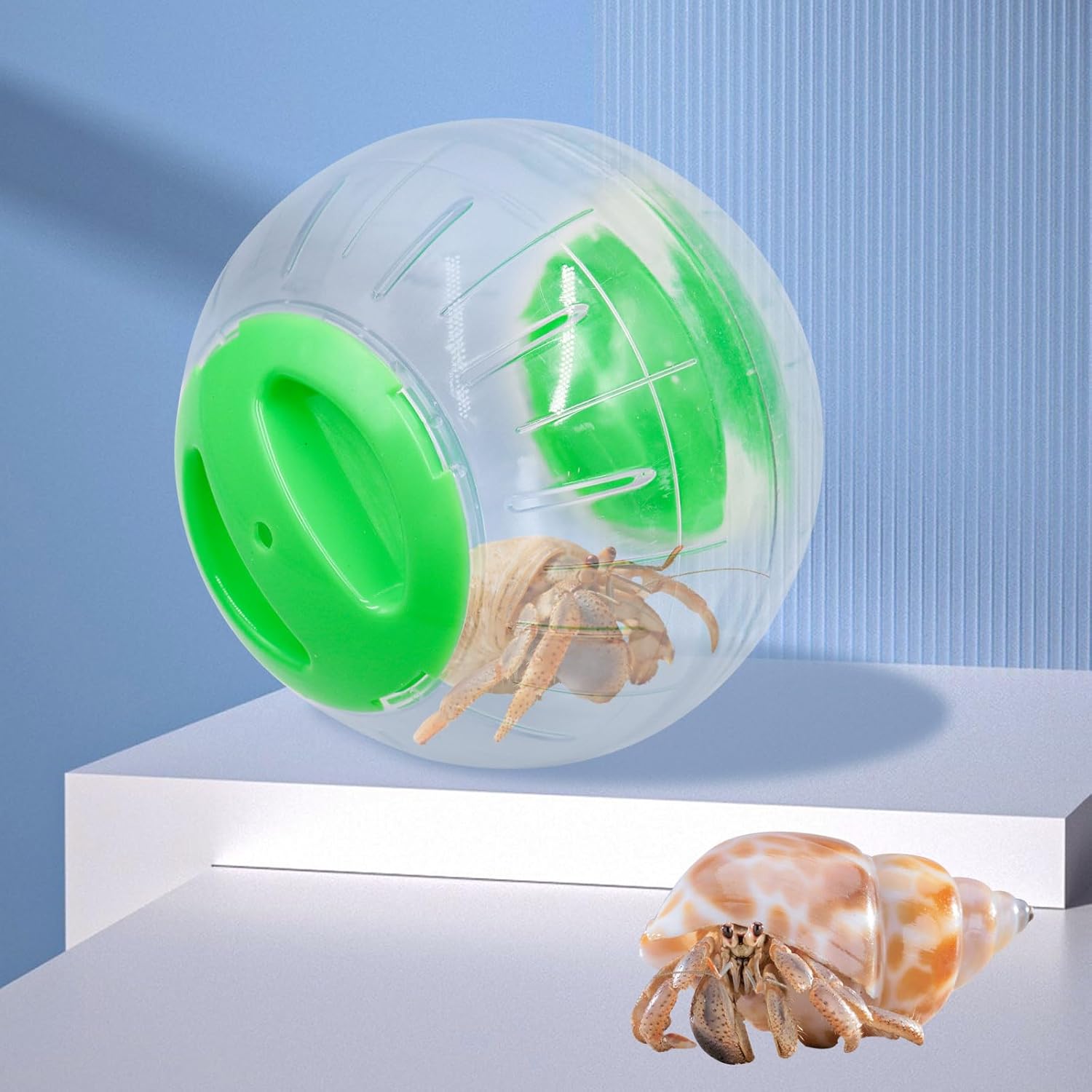 Hermit Crab Running Ball Toy, Small Animals Cage Accessory, Tank ...