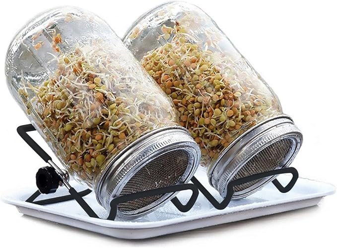 Amazon.com: CHICTRY 2 Pack Black Sprouting Jar Stand Stainless Steel ...