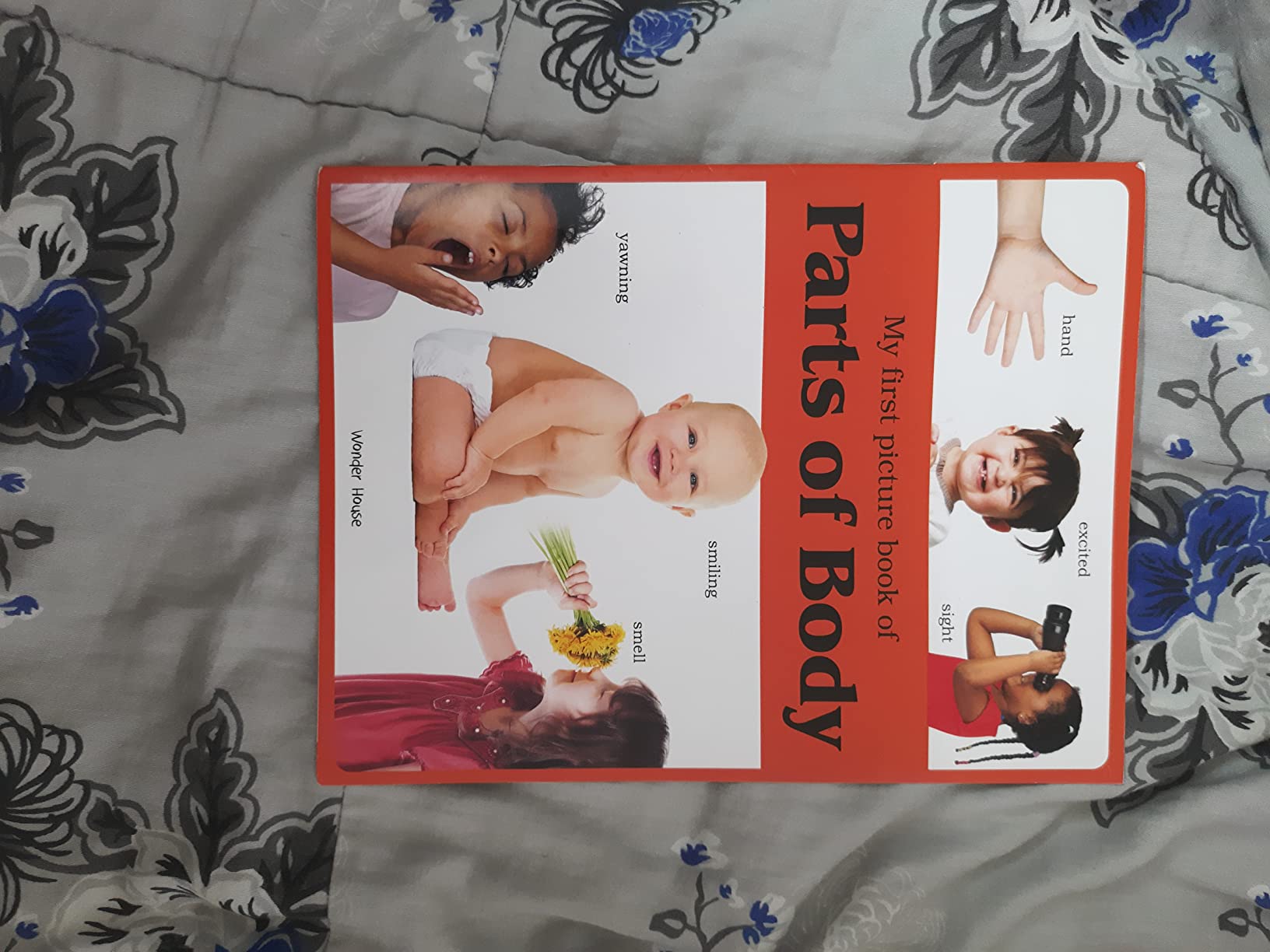 My first picture book of Parts of Body: Picture Books for Children ...