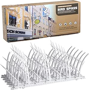 Xiaoxin Picos de Paloma | para cercas Exteriores,Mantenga a los pájaros ...