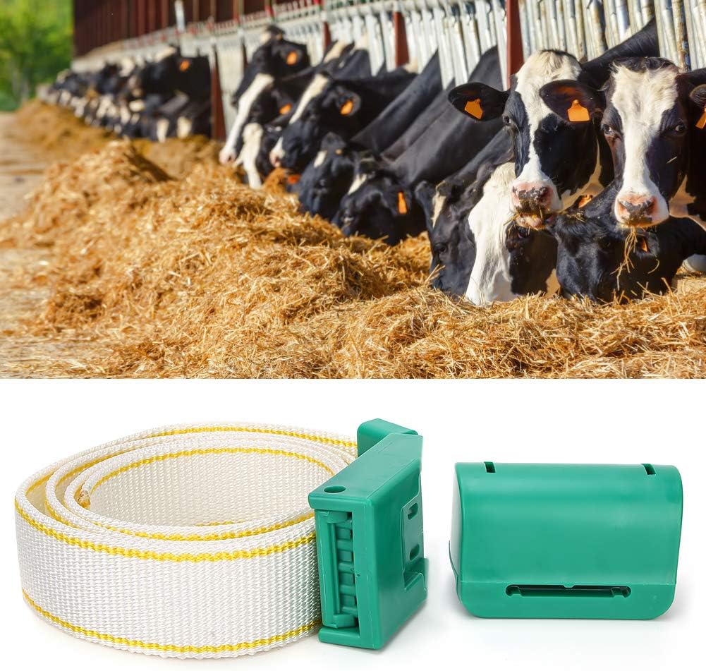 Amazon.com: Cattle Neck Collar, Thick Nylon Cow Goat Collar Number ...