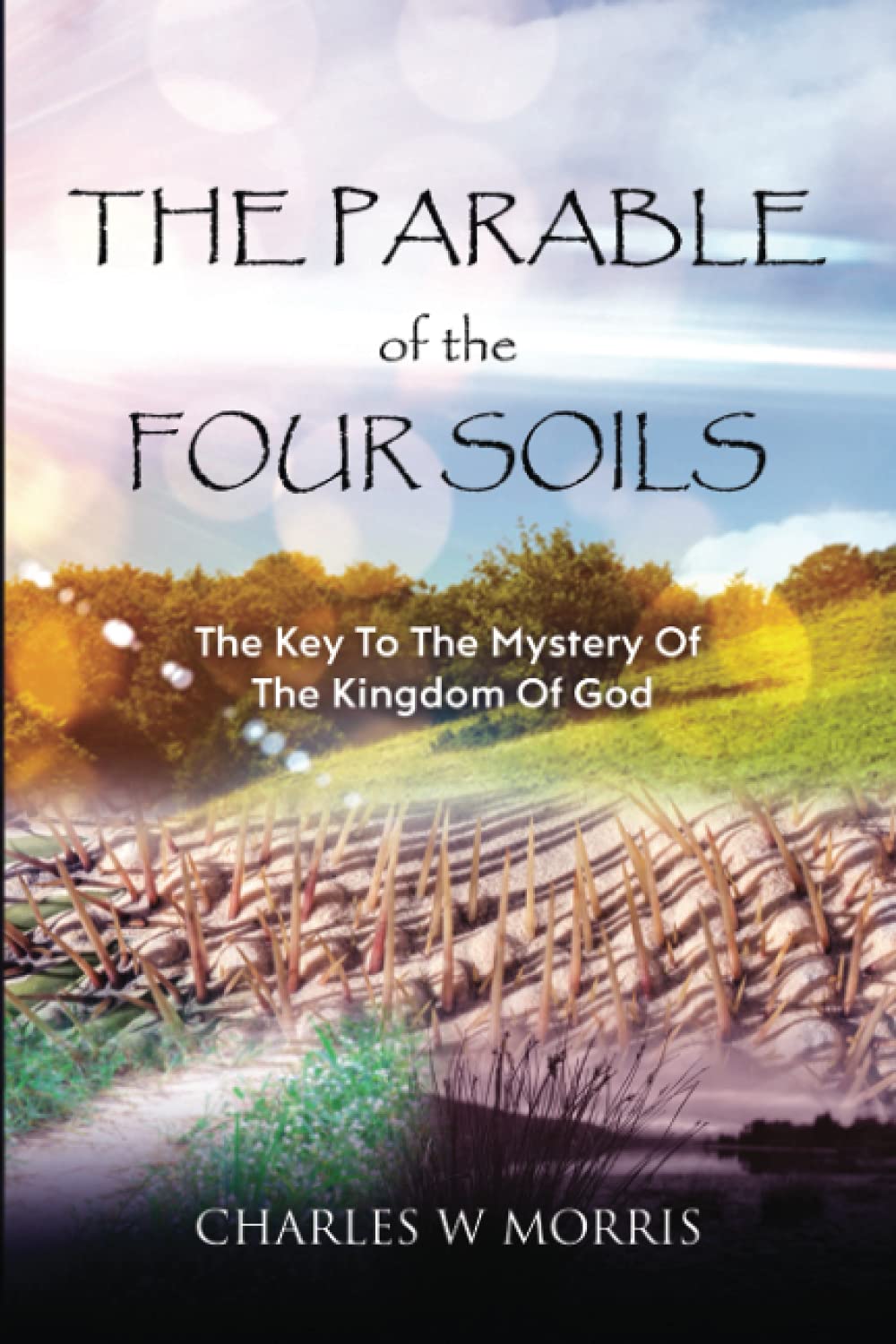 Buy THE PARABLE OF THE FOUR SOILS: The Key to the Mystery of the ...