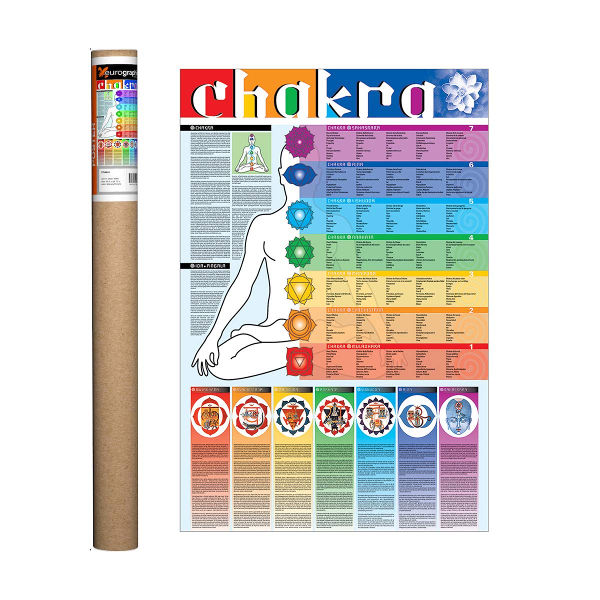 EuroGraphics Chakra Poster, 38.5 x 26.75 inch : Amazon.in: Home & Kitchen