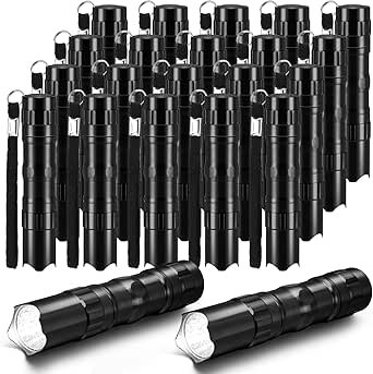 Tujoe 36 Pcs Mini Flashlights Bulk Bright Aluminum LED Handheld Torches ...
