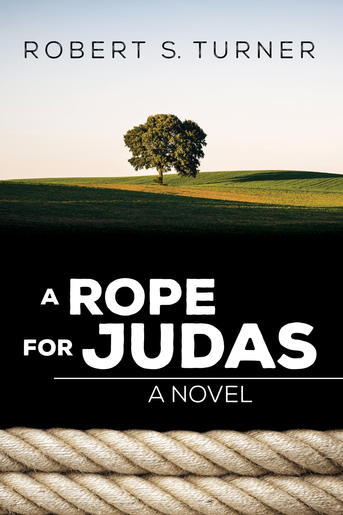 A Rope for Judas: A Novel: Turner, Robert S.: 9781532686009: Amazon.com ...
