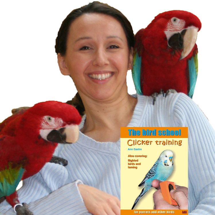 Amazon.com: Ann Castro: books, biography, latest update