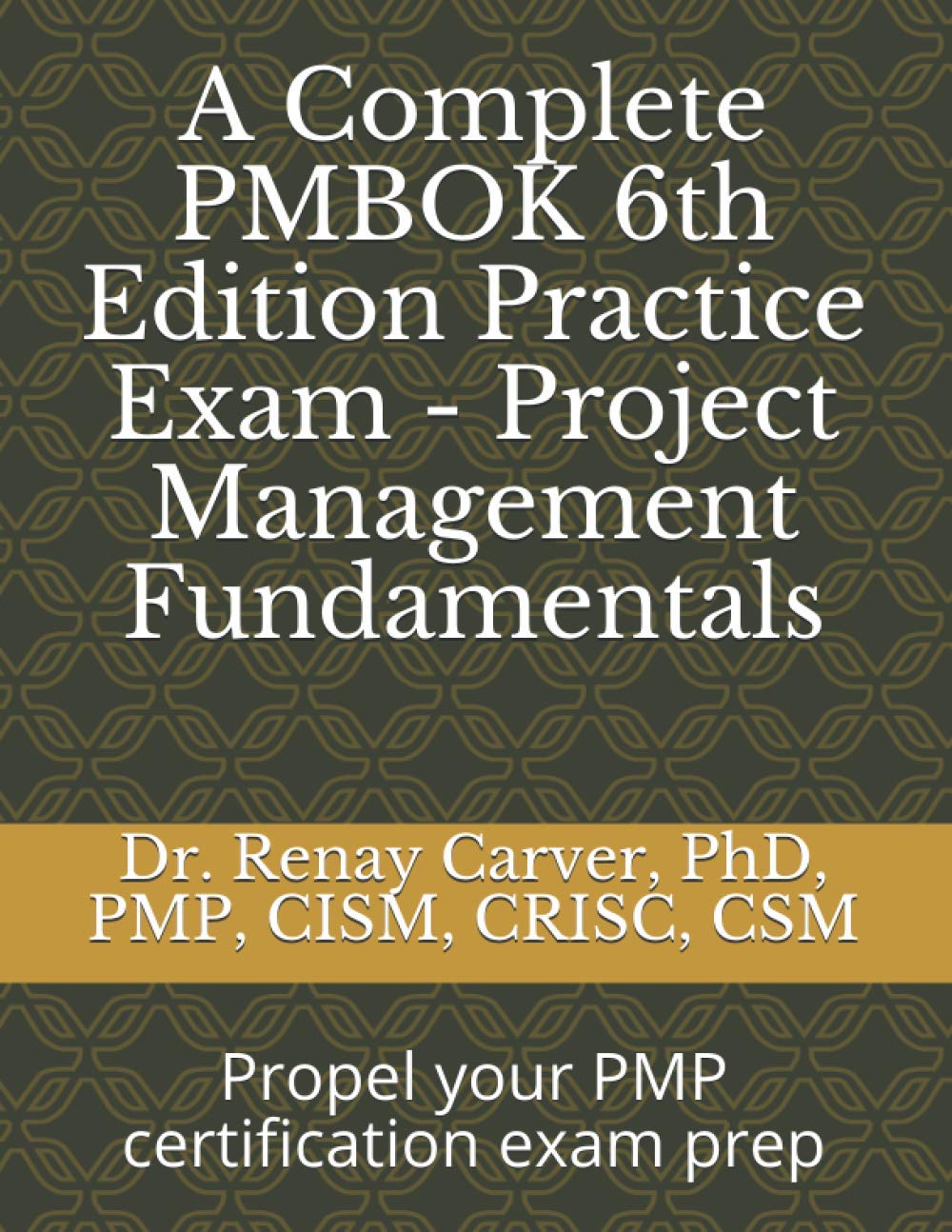 Amazon.com: A Complete PMBOK 6th Edition Practice Exam - Project ...