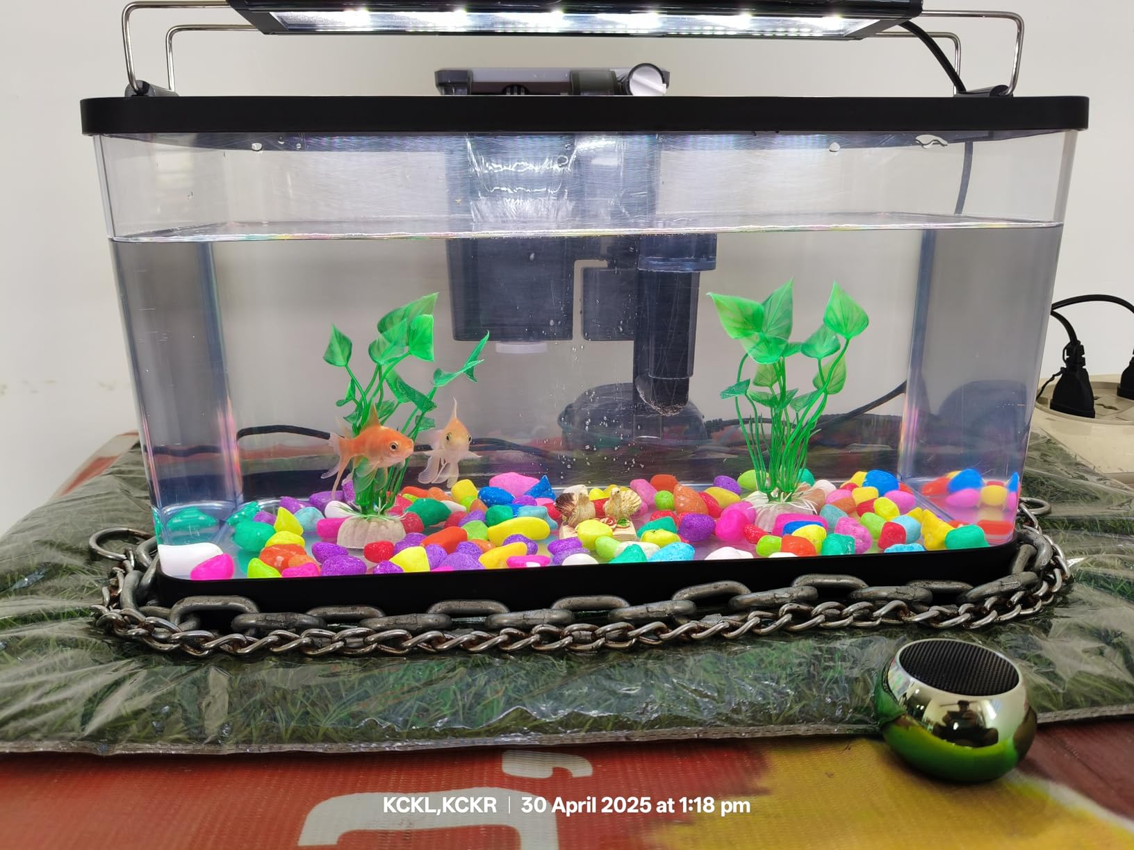 Buraq Unbreakable Curved Aquarium Fish Tank Set with Hang On Filter ...