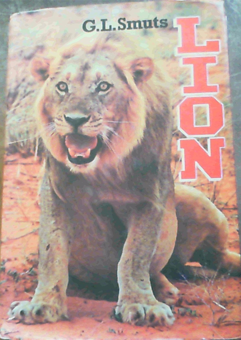 Lion: Smuts, G. L.: 9780869541227: Amazon.com: Books