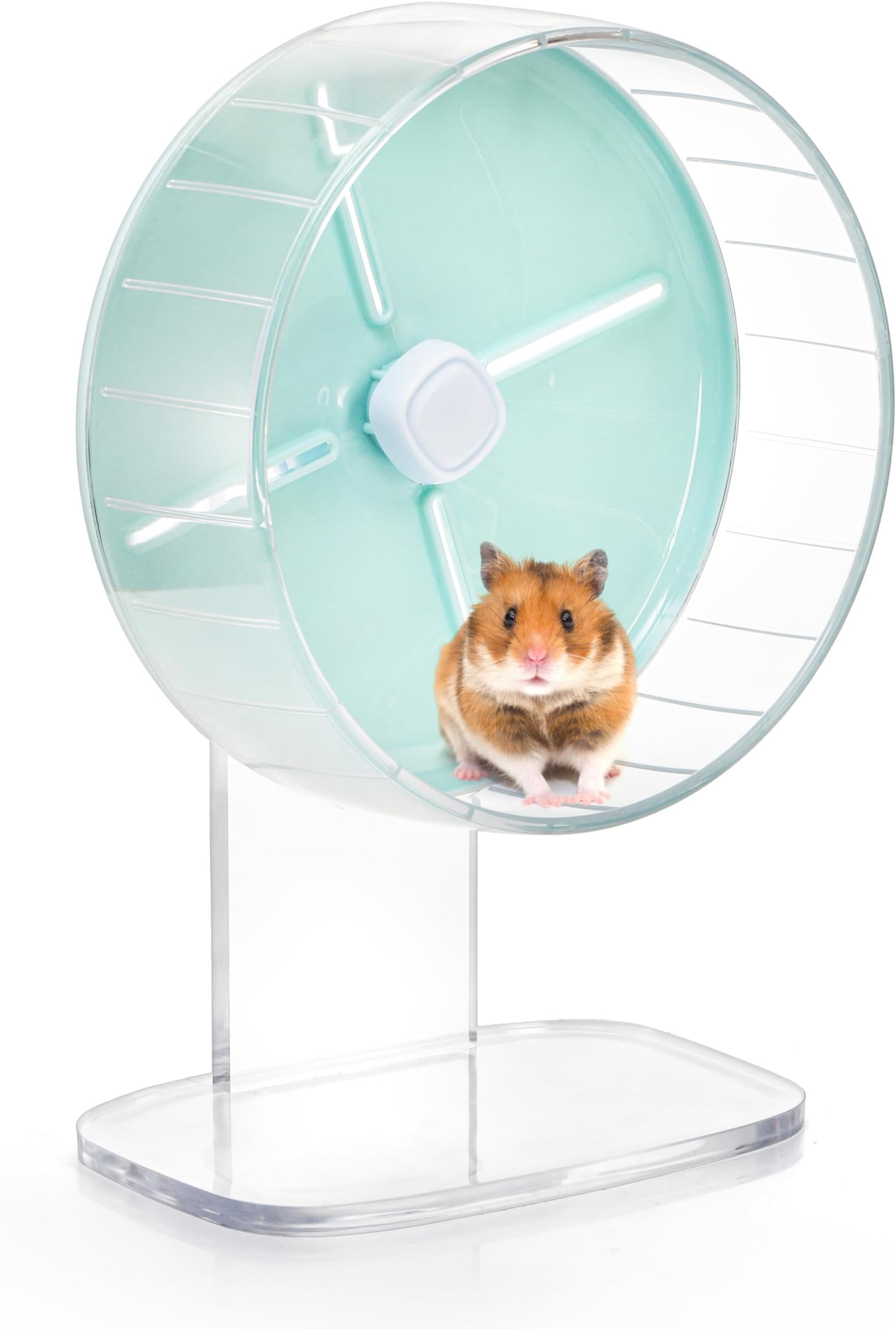 Amazon.com : Foraineam Hamster Wheel Silent Hamster Exercise Wheels, 7.5 Inch Quiet Spinner ...