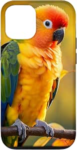 Amazon.com: iPhone 12/12 Pro Sun Conure Beautiful Bird Nature colorful ...