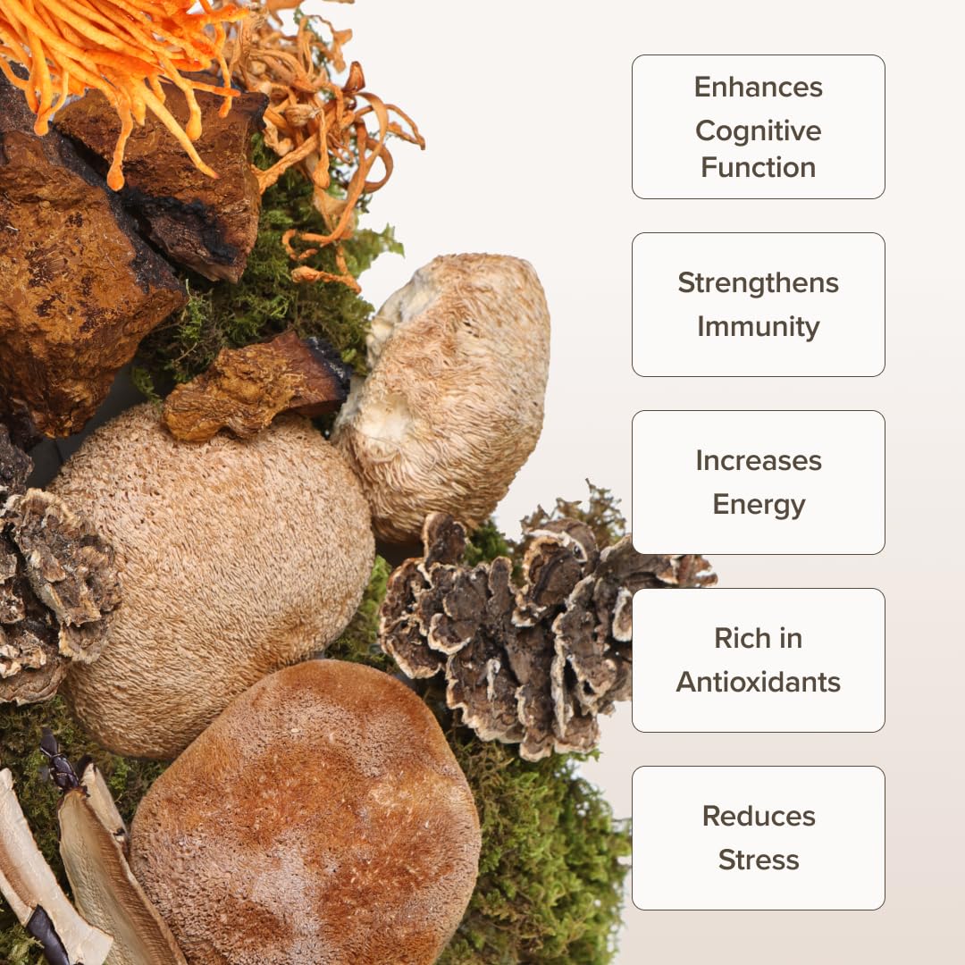 Snapklik.com : Bloomable Tonic Blend I Lions Mane, Reishi, Turkey Tail ...