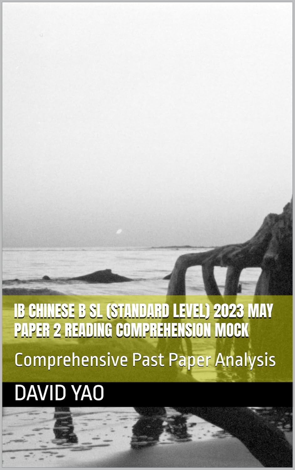 IB Chinese B SL (Standard Level) 2023 May Paper 2 Reading Comprehension ...