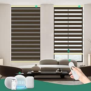 Amazon.com: Bliwans Motorized Zebra Blinds with Remote, Work with HomeKit Alexa Horizontal ...
