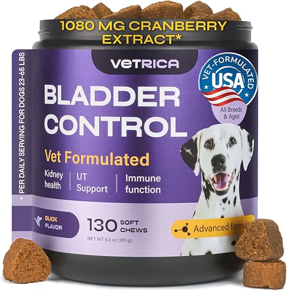 Amazon.com : Dog UTI Treatment - 1080 mg Cranberry Extract - 130 Treats ...