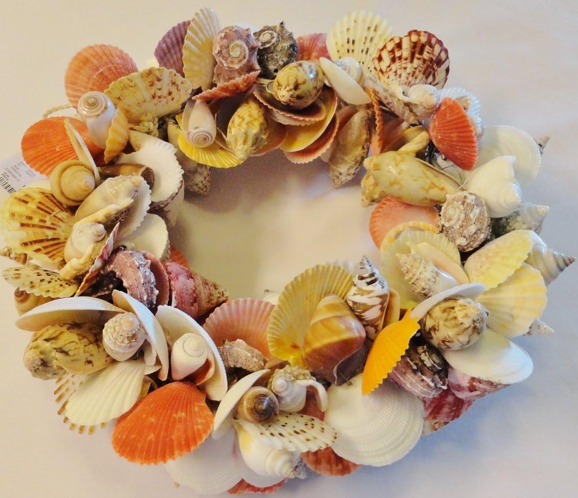 Amazon.com: Large Decorative Fancy Sea Shells Table Centerpiece or Wall ...