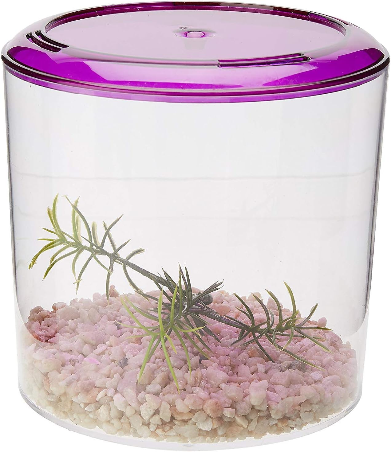 Amazon.com : Foldable Small Aquarium, Portable Fish Tank, Fish ...