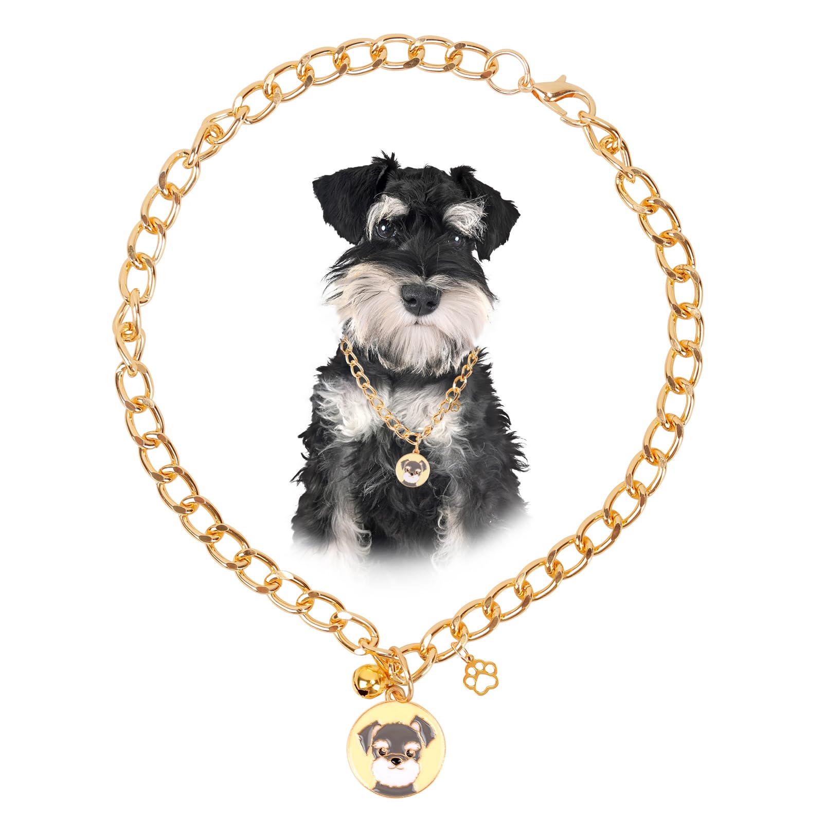 Amazon.com : HOWWFALY Dog Collar and Cat Chain Necklace Stainless Steel ...