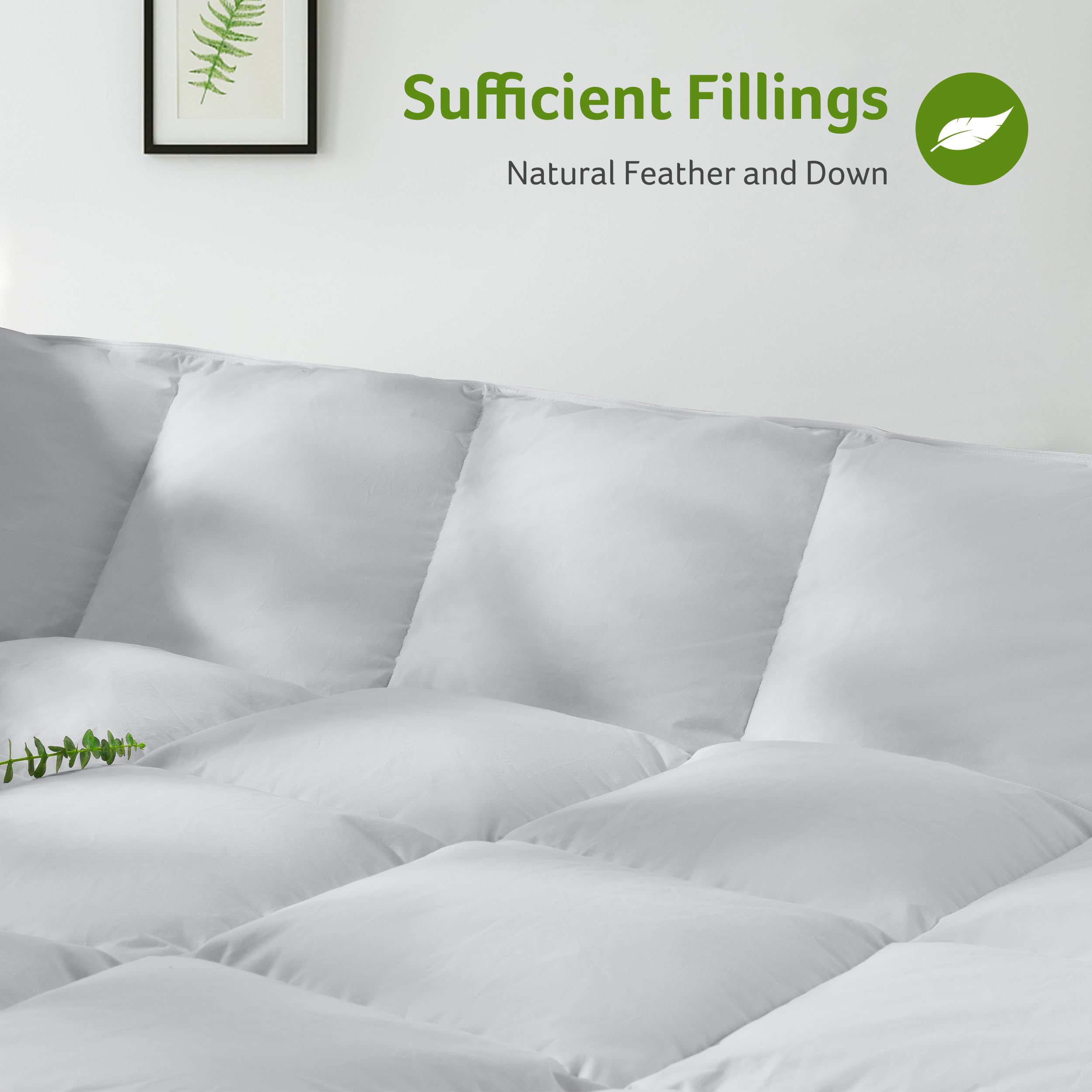 Snapklik.com : Saisier Feather Down Comforter Queen Size Ultra Soft Premium Down Duvet Insert ...