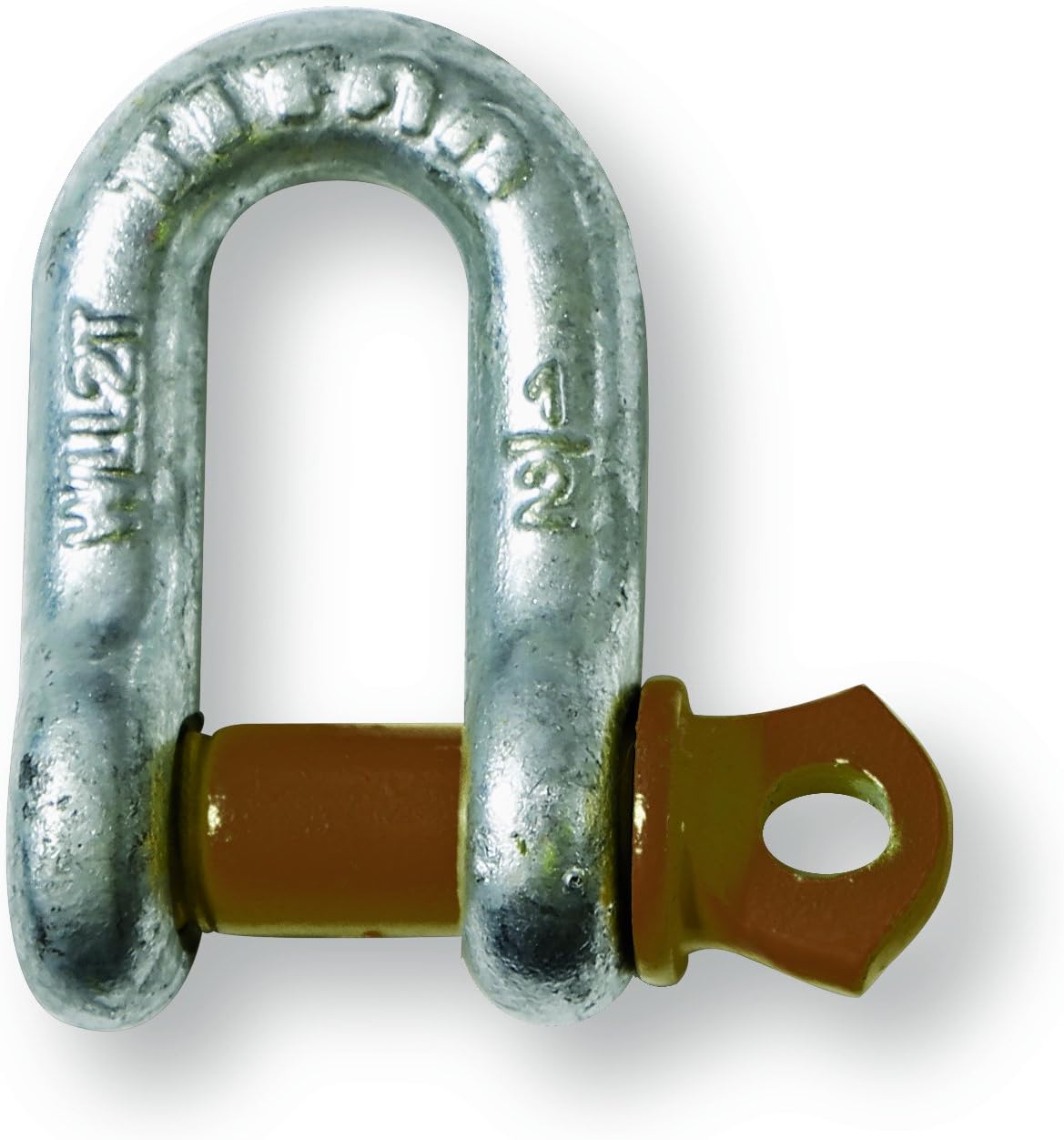 Amazon.com: Titan "D" Type Anchor Shackle, Hot Dip Galvanized with ...