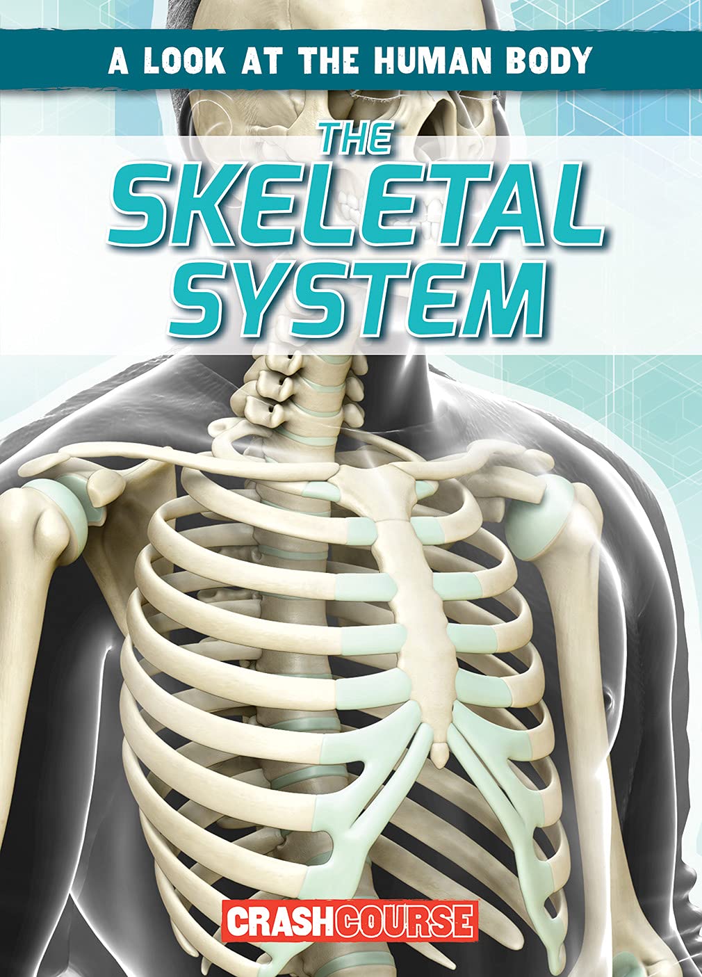 The Skeletal System (A Look at the Human Body): Edwards, Jonas ...