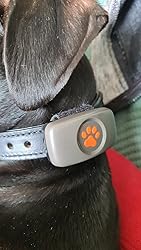 PitPat Dog GPS Tracker - No Subscription Required - Suitable for All ...