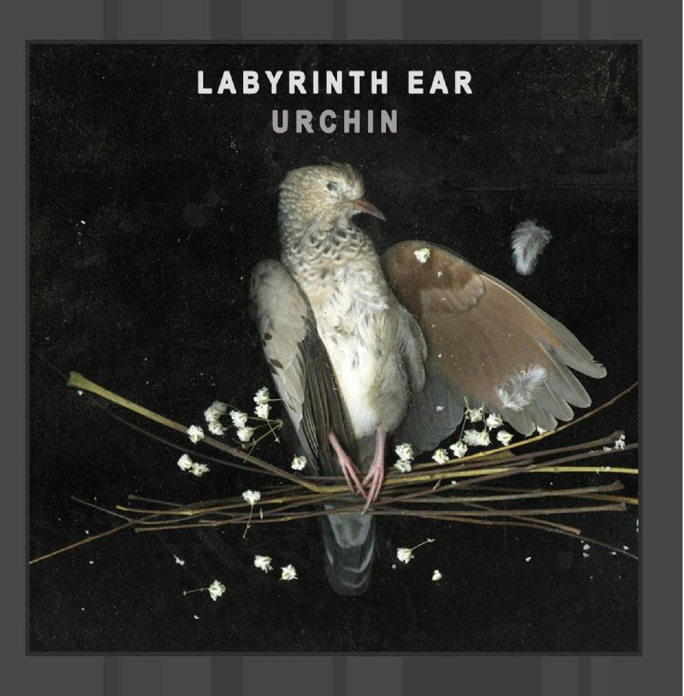 Amazon.com: Urchin: CDs & Vinyl