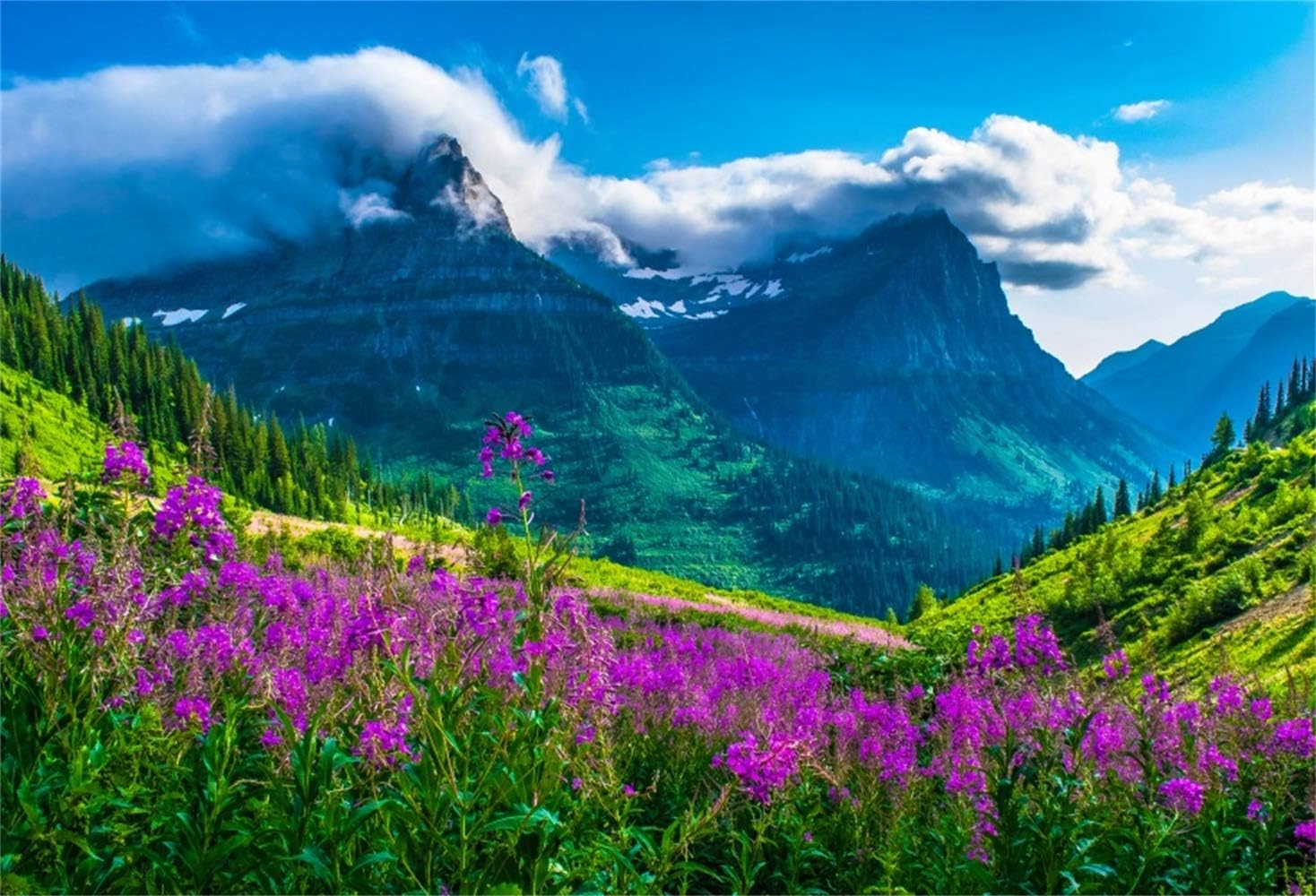 Amazon.com : Laeacco 10x7ft Spring Hillside Purple Flowers Field Remote ...