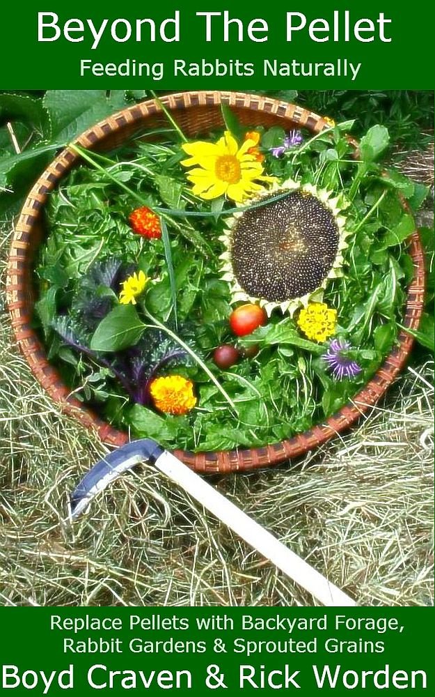 Beyond The Pellet (The Urban Rabbit Project Book 2) - Kindle edition by ...