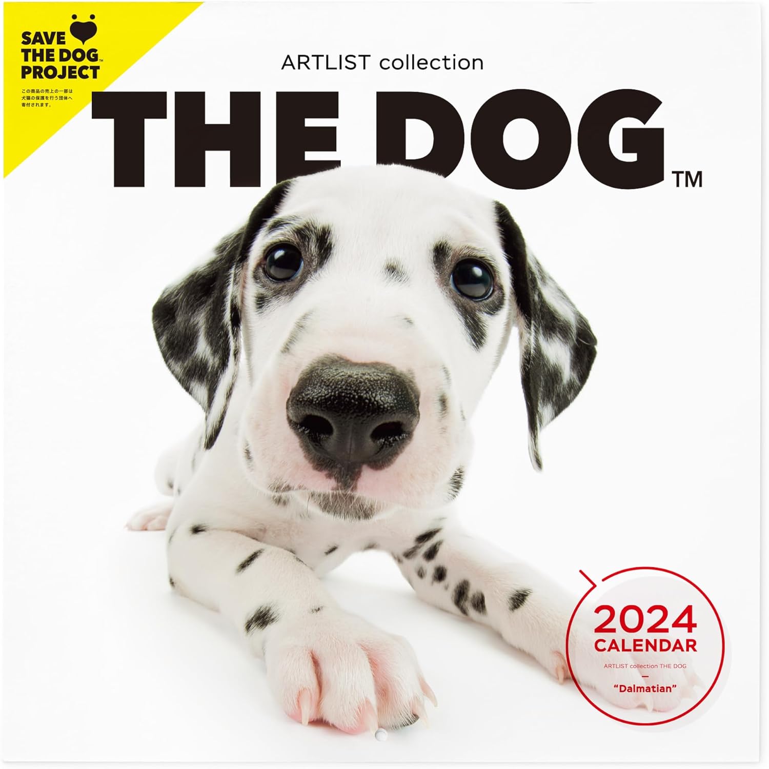 Amazon.com: [ArtlistCollectionTHE DOG] Wall Calendar ≪Dalmatian≫ 2024 ...