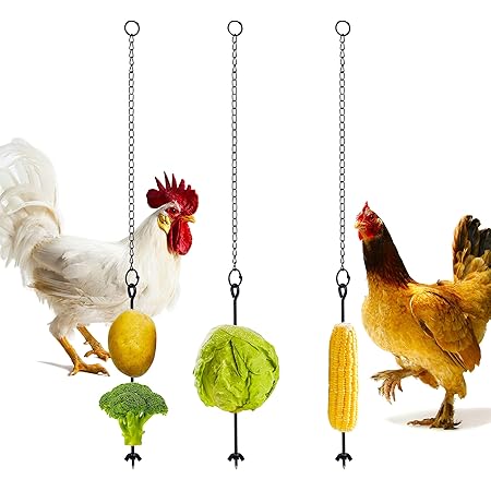 Amazon.com : Chicken Vegetable Hanging Feeder Toy for Hens Pet Chicken ...